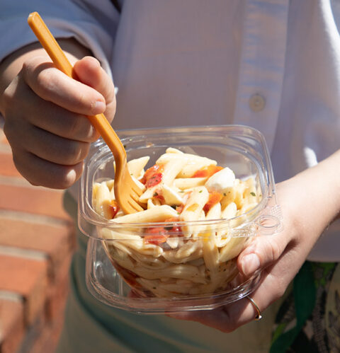 16 oz Clear Plastic Tamper-Evident Containers with Lid | YBC Supply