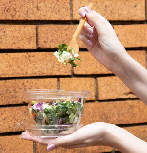 16 oz Clear Plastic Tamper-Evident Containers with Lid | YBC Supply